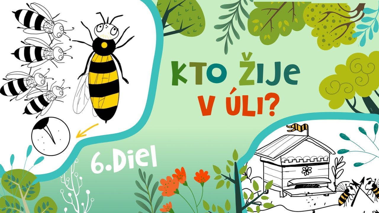 "Záhady z lesa a záhrady #6" - "Kto žije v úli?" alebo "Trúd, včela a ...