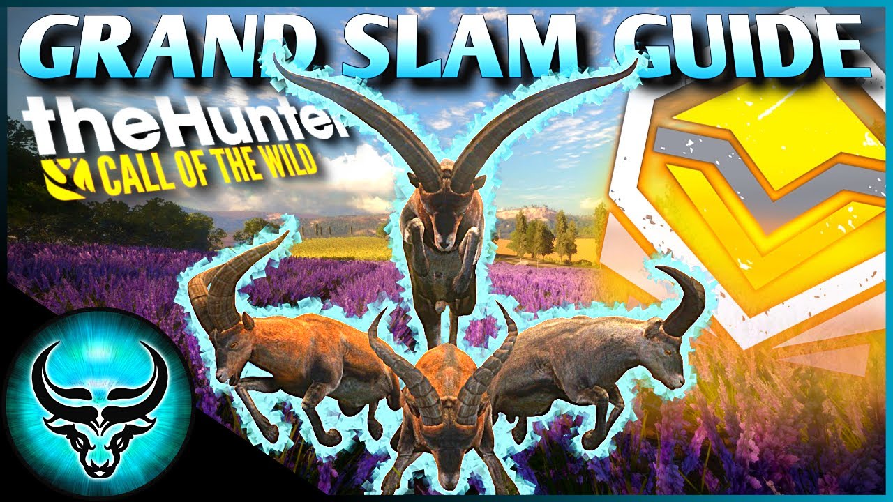 2021 Diamond Grand Slam Guide! Featuring a HUGE Diamond Beceite Ibex ...