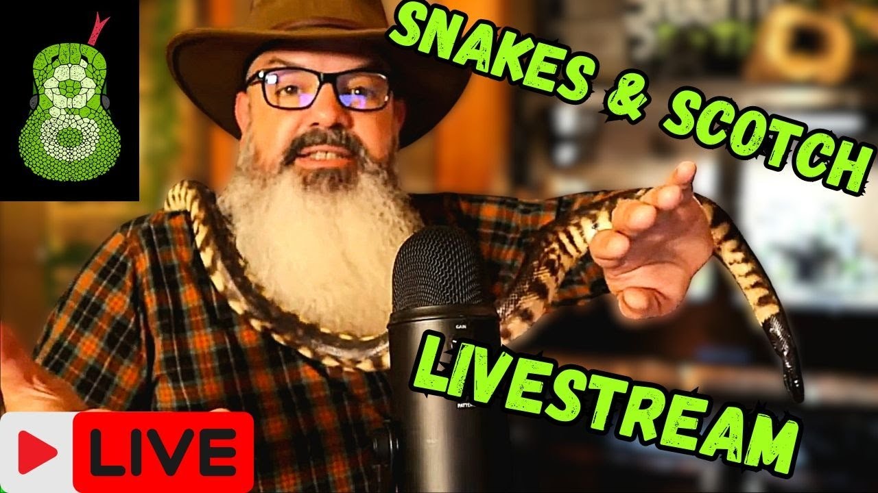 April "Snakes & Scotch" Livestream! - YouTube