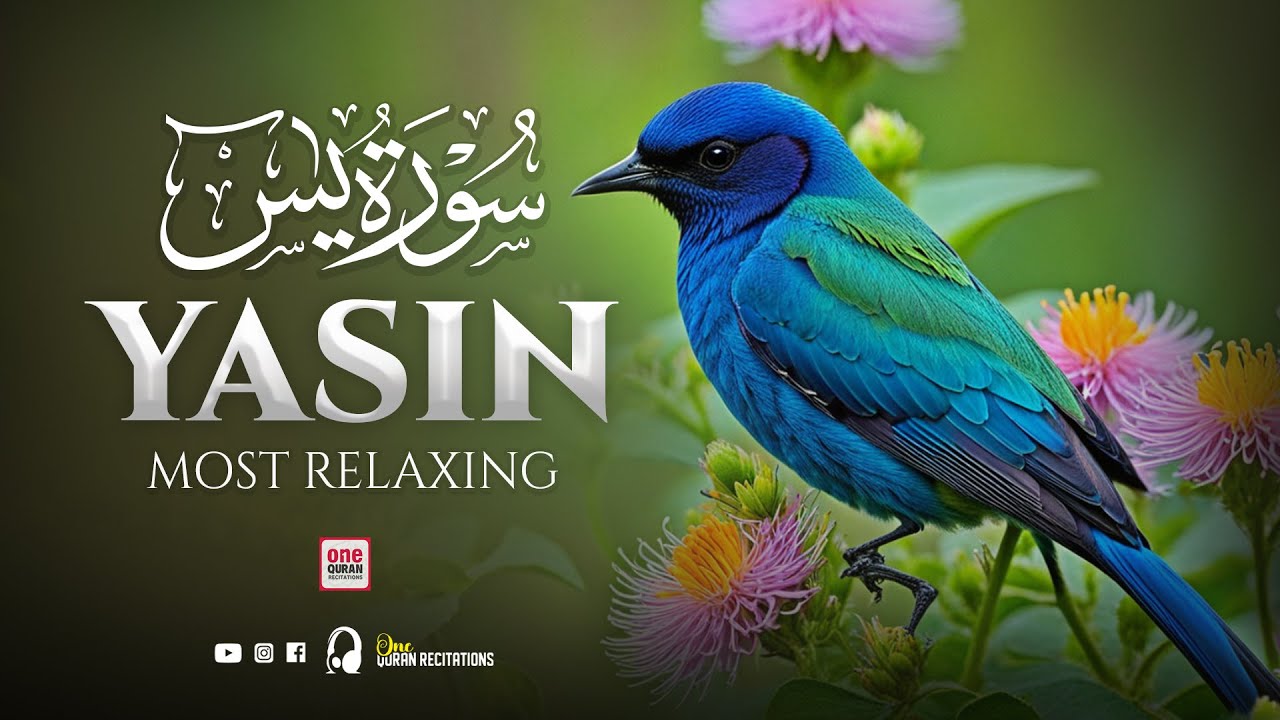 Surah Yasin (Yaseen) سورة يس | Relaxing heart touching Silky voice ...