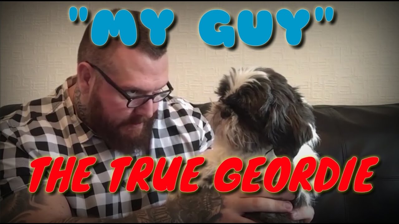 THE TRUE GEORDIE COMMENT SONG. "MY GUY" - YouTube