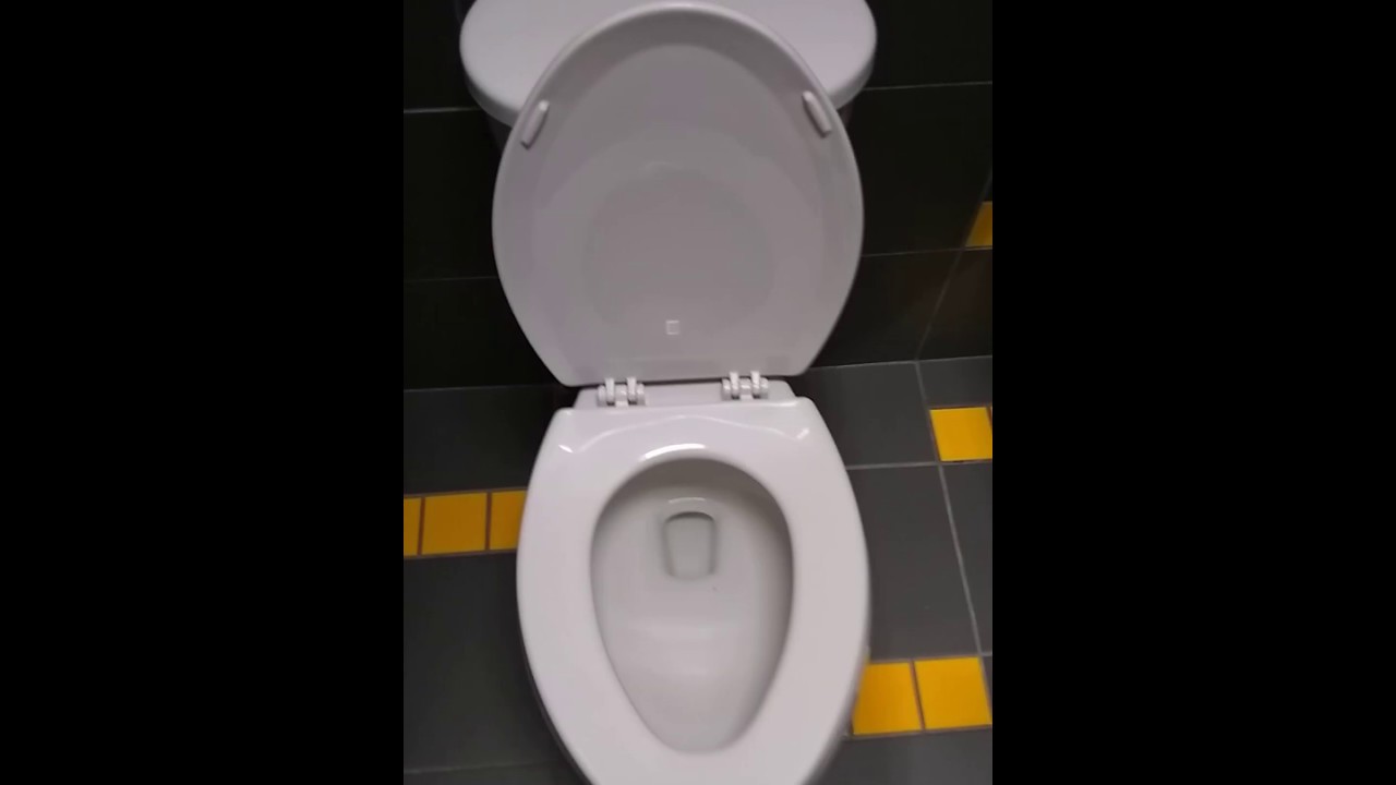 Gerber Dual Flush toilet at RPM - YouTube