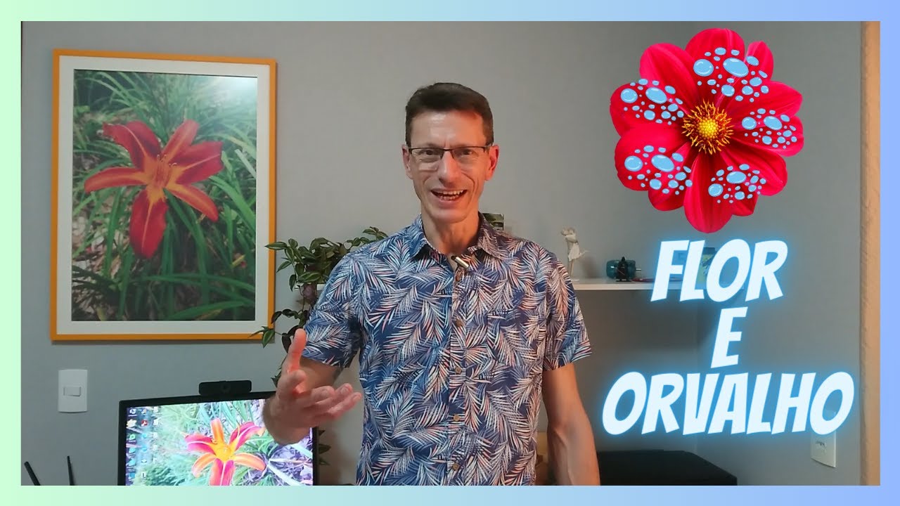 Flor e Orvalho #poema #poesia - YouTube