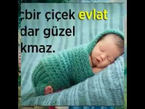 eltim