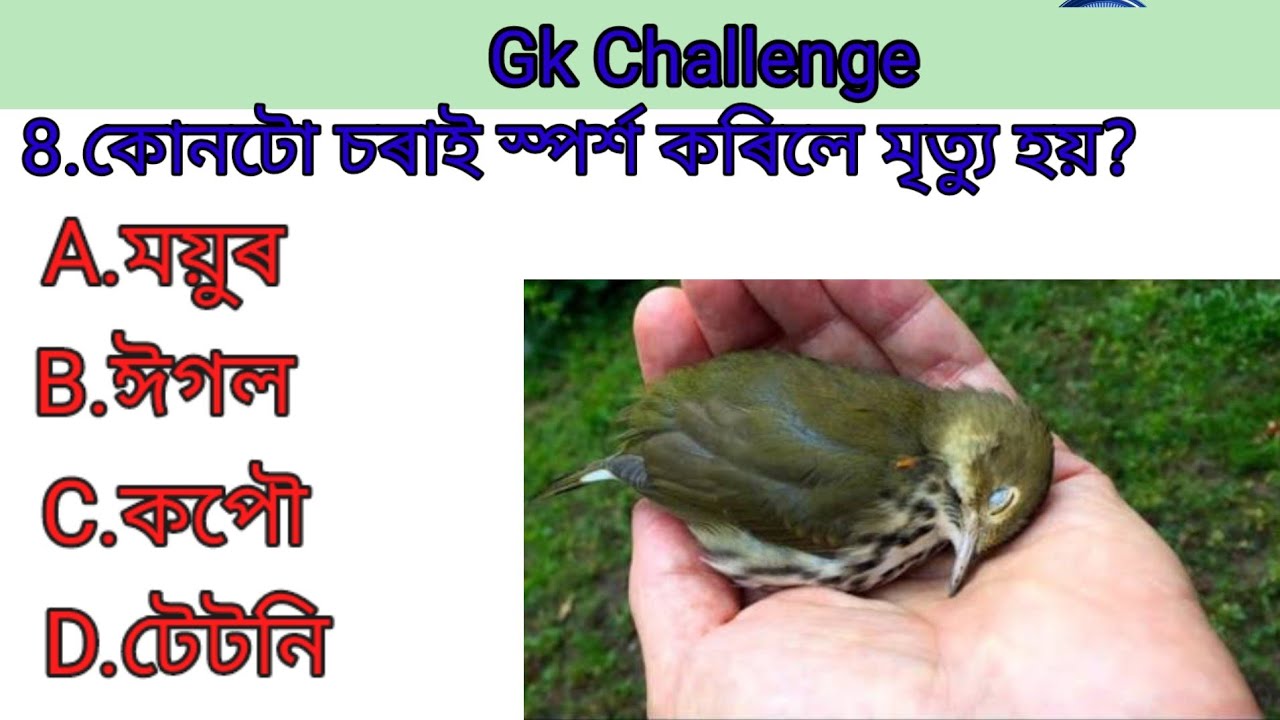 Gk quiz, grade iii and iv gk questions answers, grade 3 previous year ...