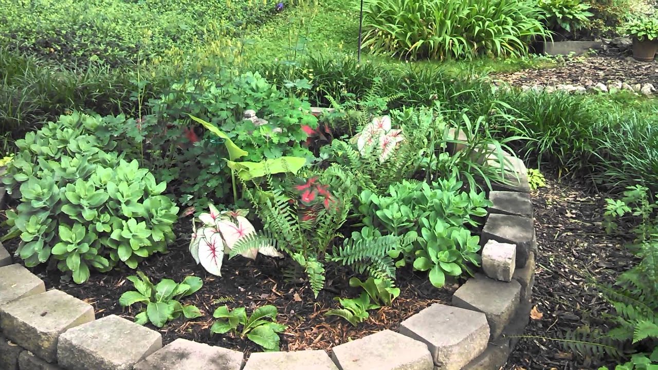Circular bed and frog - YouTube