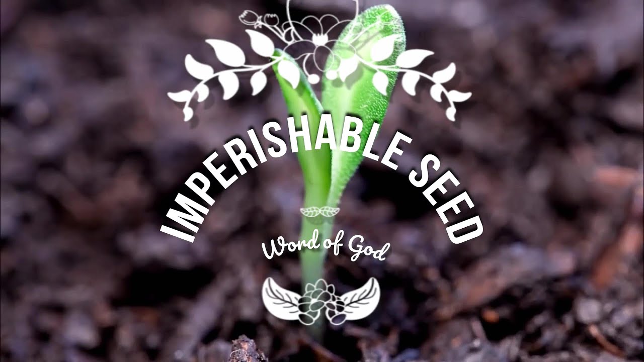 Imperishable Seed I 1 John 4 : 19 I 19.05.2020 I English - YouTube