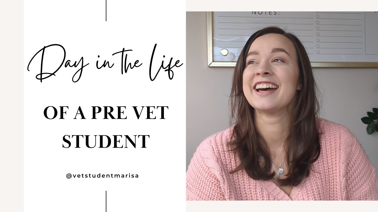 Day in the Life of a Pre-Vet Student - what to look for in shadow ...
