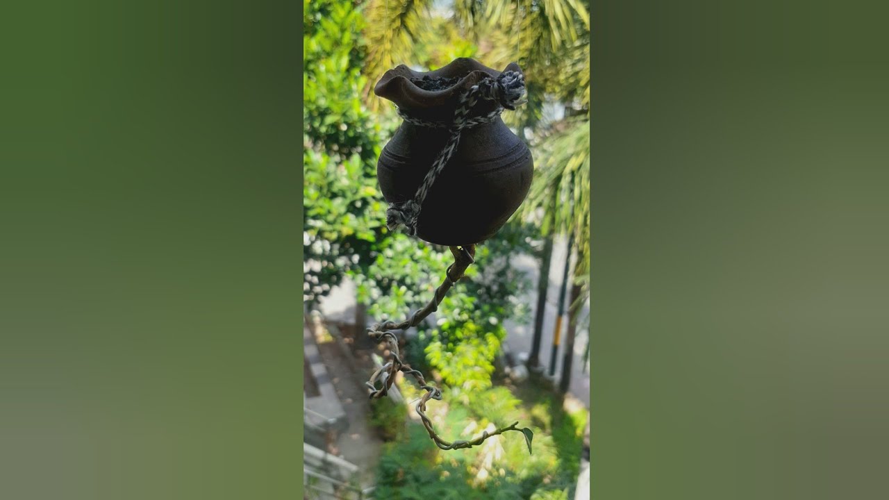MEMBUAT BONSAI MINI TERBALIK #114 | MAKE AN UPSIDE DOWN BONSAI - YouTube