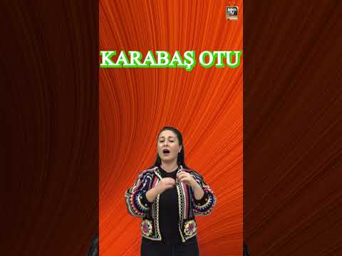 1 Kural 1 İstisna / Gizem URAL İsemTV-2024