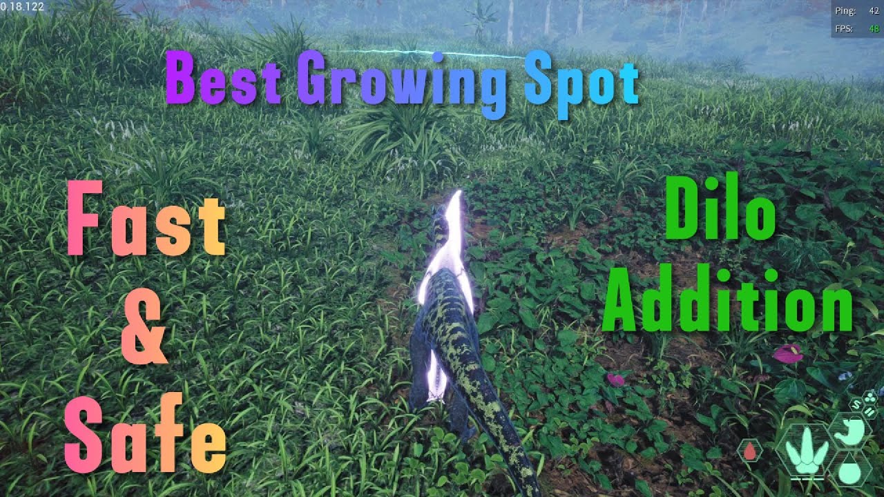 A New Players Guide to growing a Dilo. - YouTube