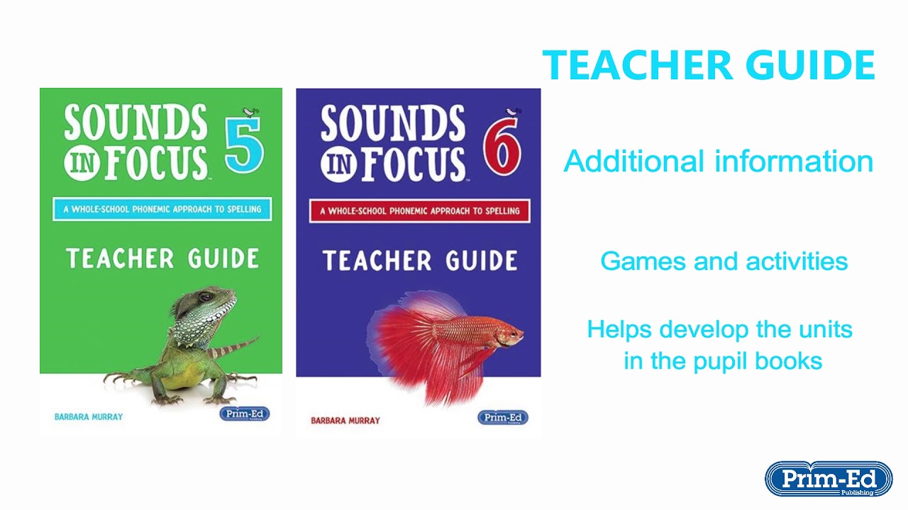 Sounds in Focus - 5th and 6th Components - YouTube