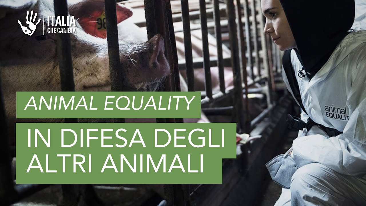 Animal Equality mettiamo fine all’orrore, attiviamoci per gli altri ...