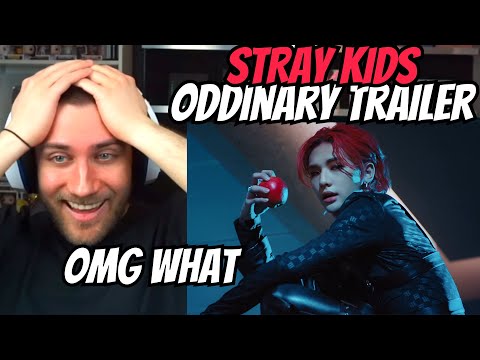 THIS IS A MOVIE!! Stray Kids \