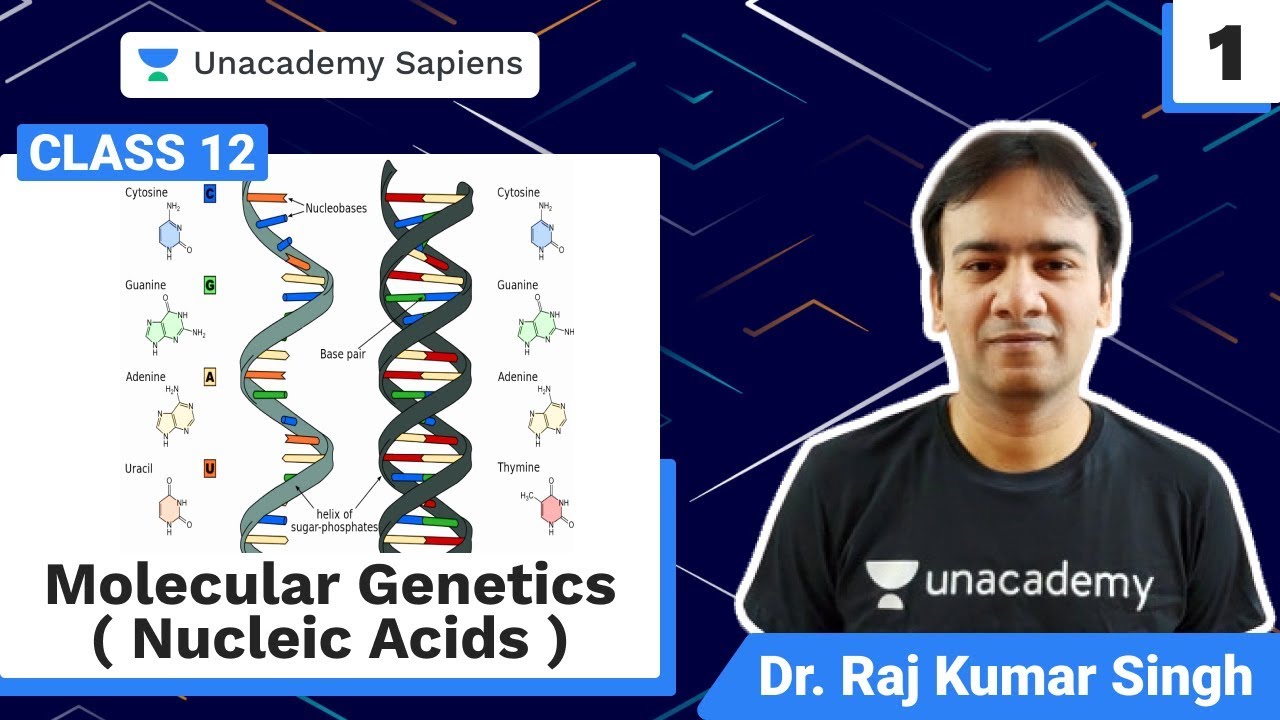 Molecular Genetics: Nucleic Acids L 1 | Operation NEET 2021 | Biology ...