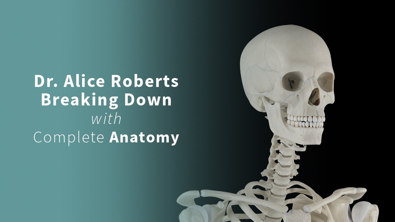 Alice Roberts: Breaking down the skull with Complete Anatomy - YouTube