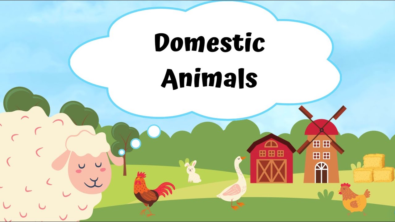 Exploring Domestic Animals for Kids - Fun and Educational Animal Facts ...