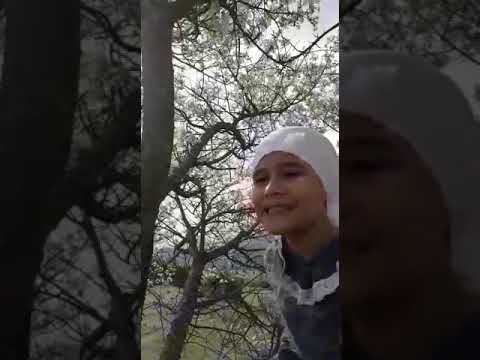 Çiçekli Şu Ağaç Bir Kasidedir