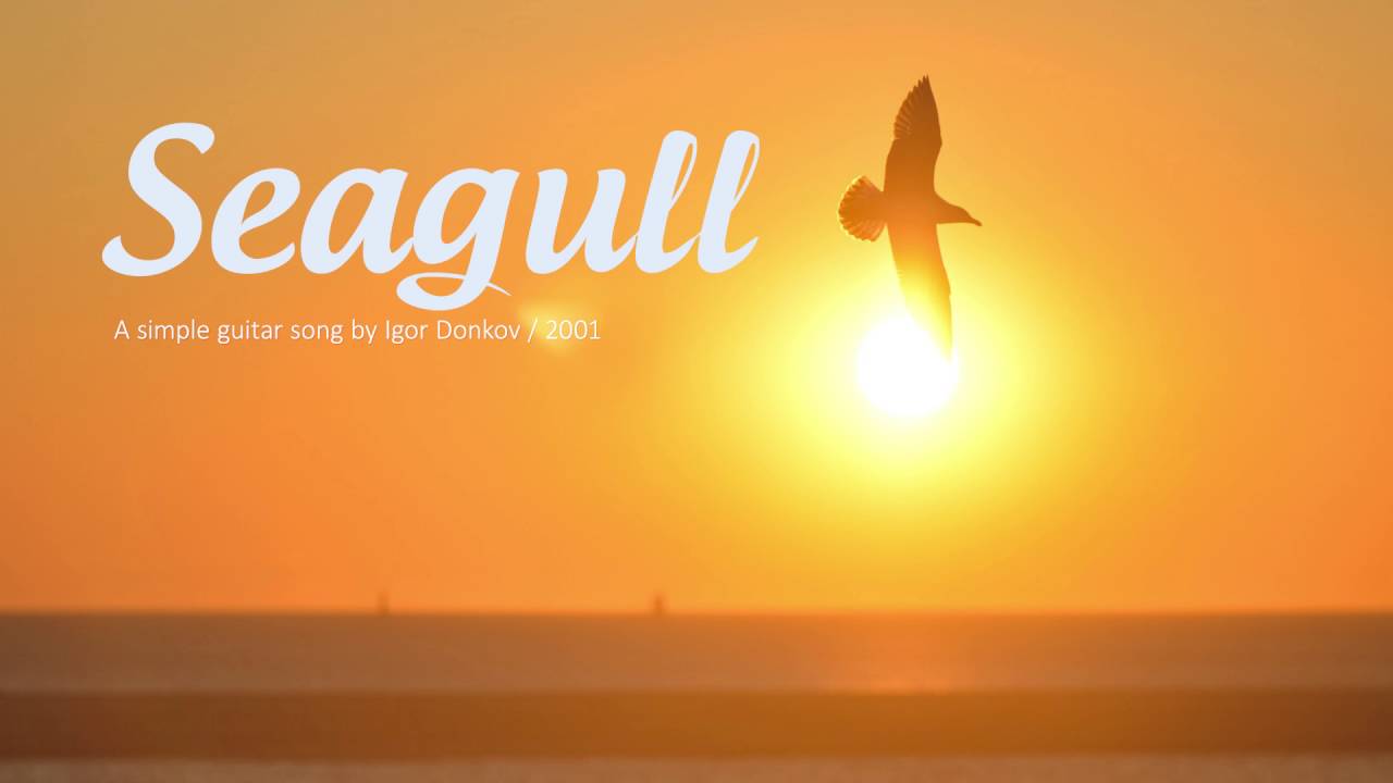 Seagull song - YouTube