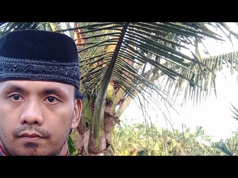 🔴H1DUP 1ND4H B1L4 M3NC4R1 B3RK4H..‼️ - YouTube