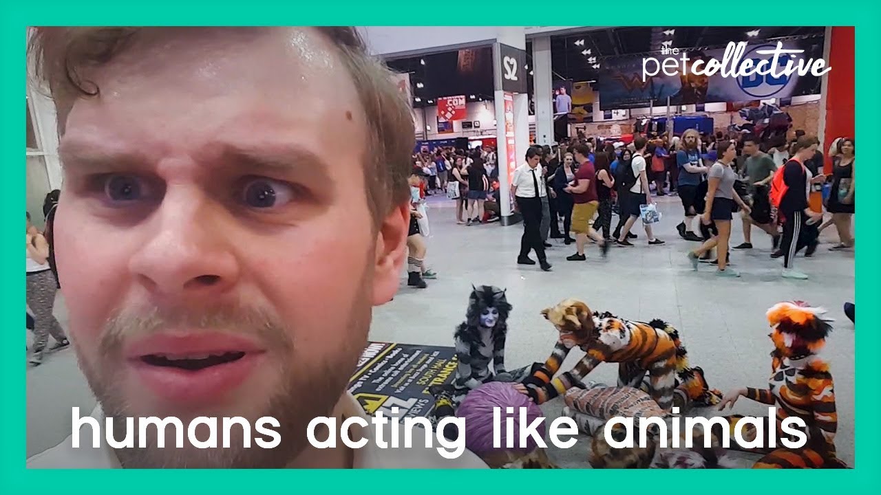 Humans Acting Like Pets | The Pet Collective - YouTube