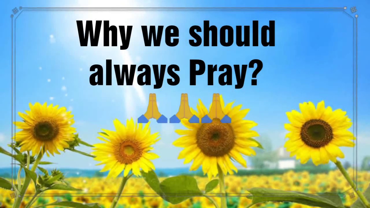 Why we should always PRAY - YouTube