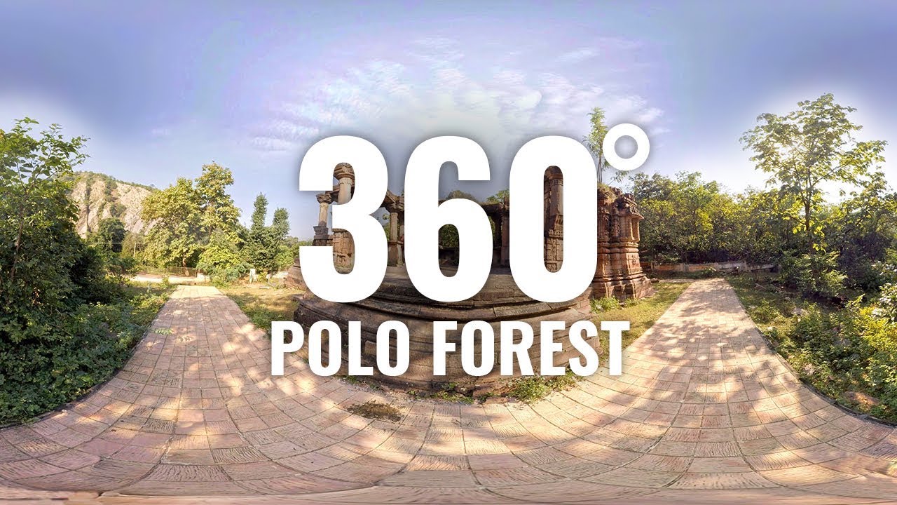Polo Forest - YouTube