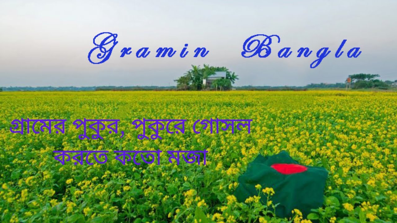 Gram Bangla // Bd village // Village scenery - YouTube