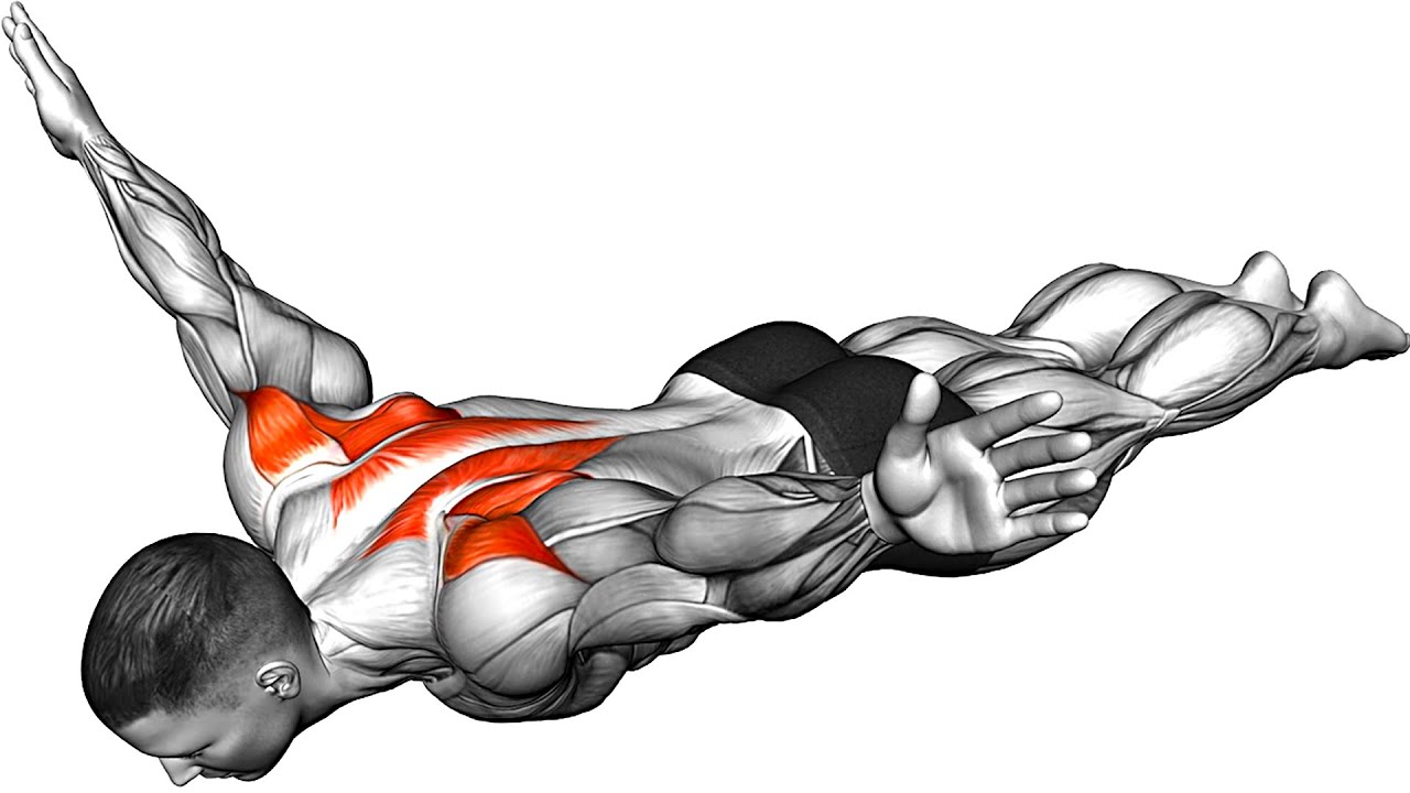 8 Exercises for The Back (posture correcting) - YouTube