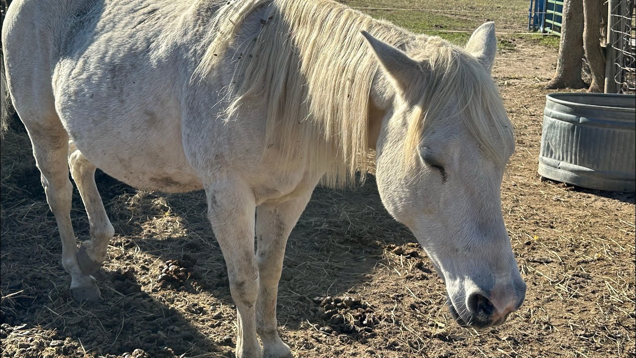 UPDATE VIDEO: HOPE needs your HELP! - YouTube