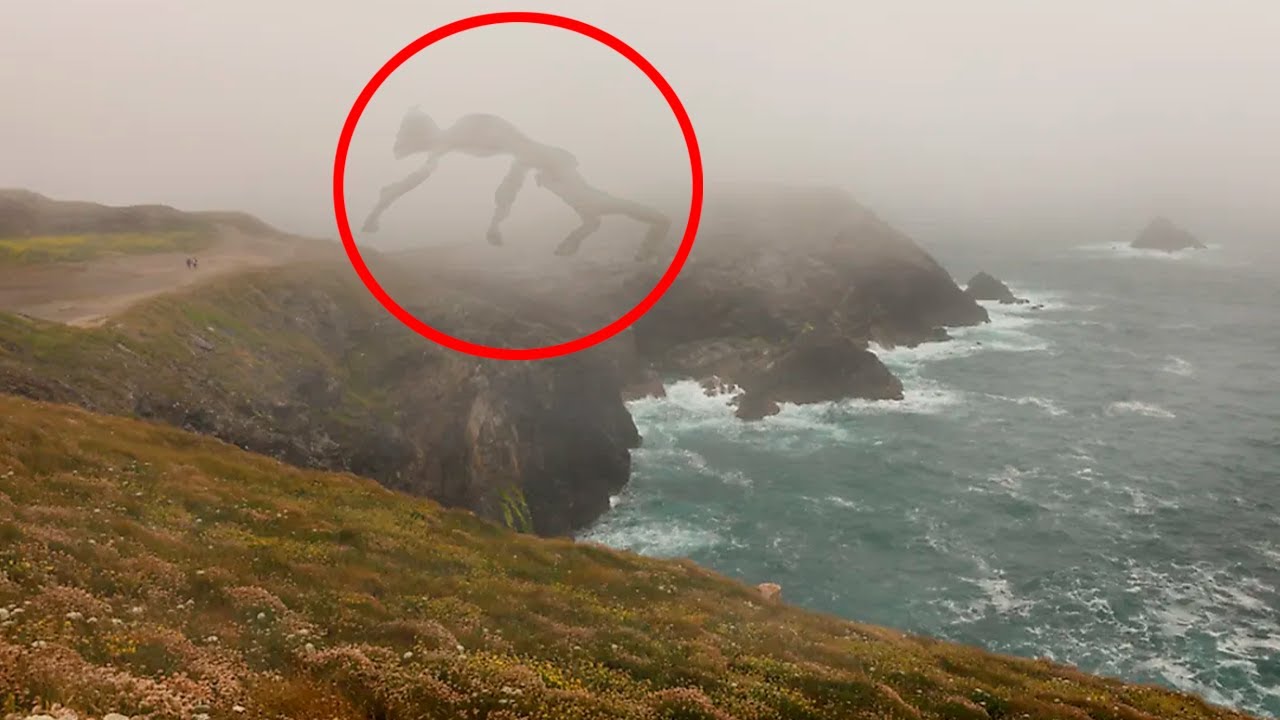 7 Mysterious Giant Creatures Caught on Tape - YouTube