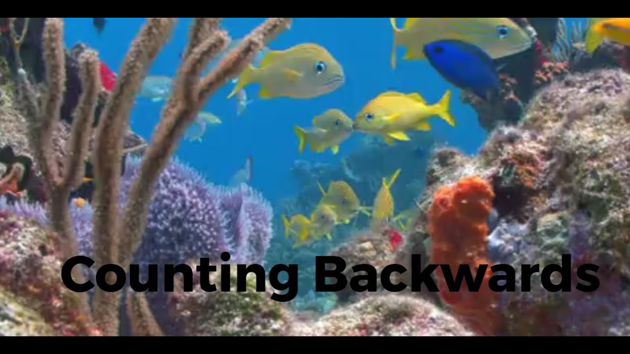 How to count backwards from 5..Math Read Along Counting Backwards ...