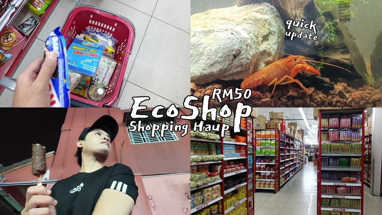 RM50 Ecoshop Shopping Haul || update aquascape crayfish tank - YouTube