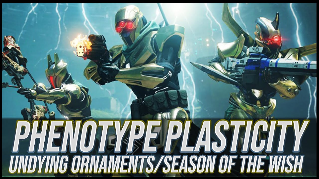 Destiny 2: Phenotype Plasticity Review | Season of the Wish - YouTube