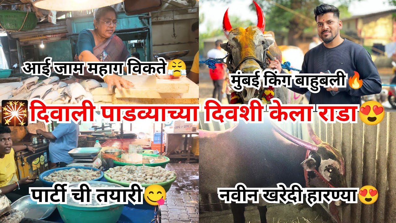 🎇दिवाली पाडव्याच्या दिवशी केला राडा😍diwali Padvyachya divshi kela Rada# ...