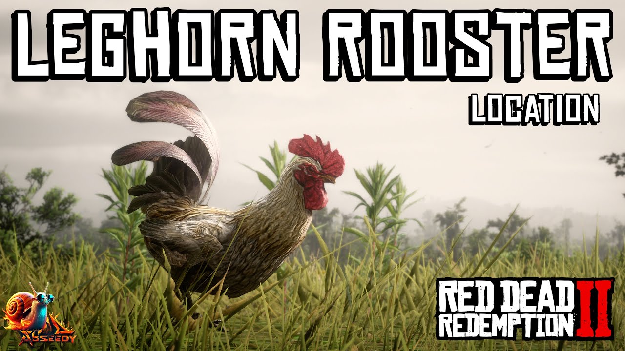 Leghorn Rooster Location - Red Dead Redemption 2 - YouTube