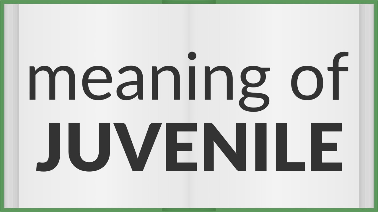 Juvenile Meaning Of Juvenile YouTube juvenile-meaning-of-juvenile-youtube