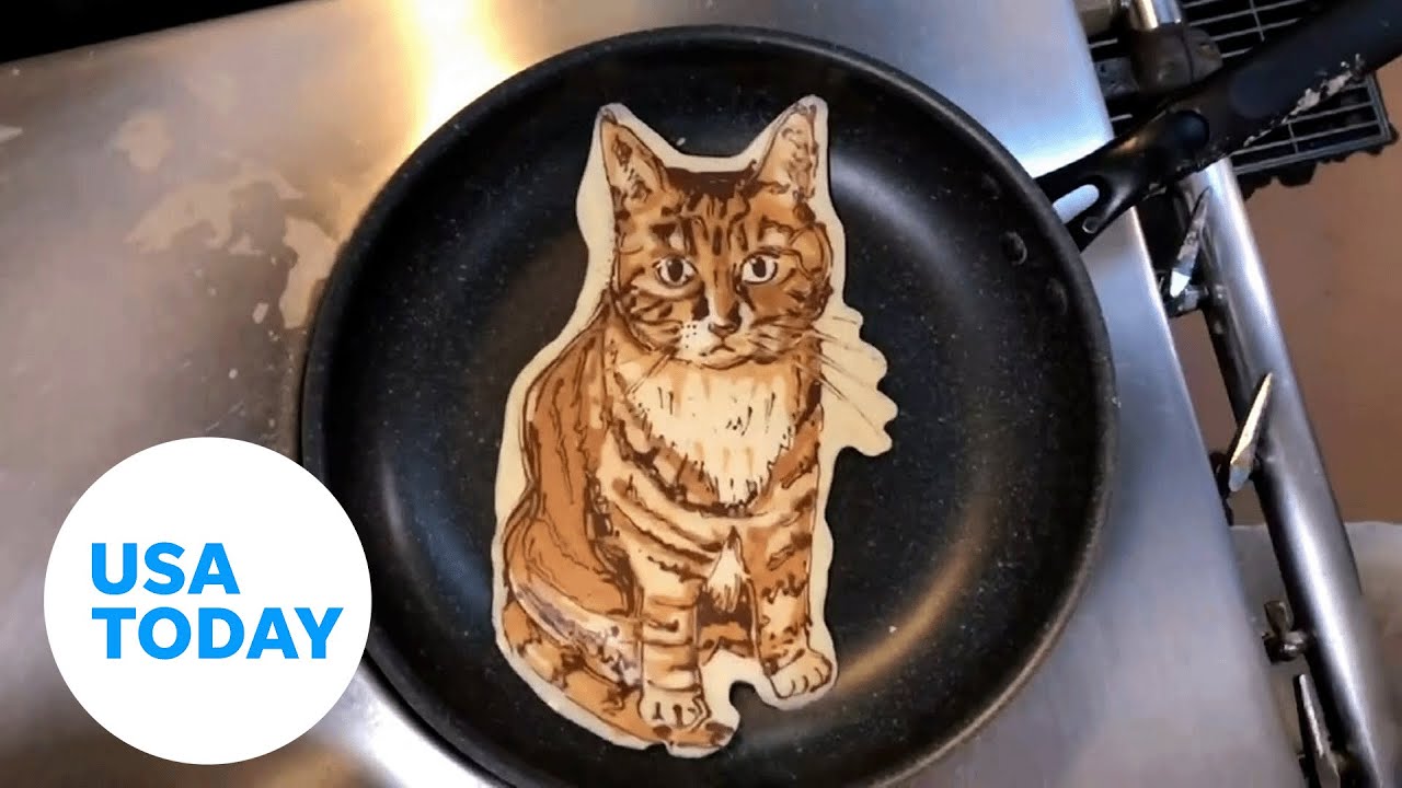 Pancake portraits of pets made by talented Japanese chef | USA TODAY ...