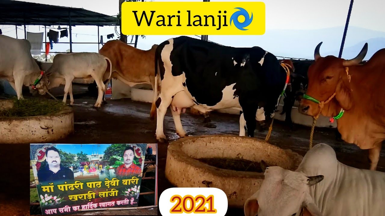 Wari Dam &Maa Pandhari Path Devi Mandir Lanji Balaghat - YouTube