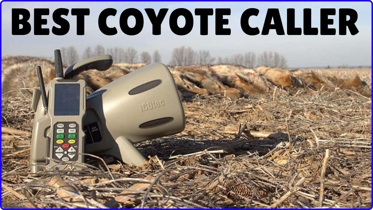 best coyote caller in 2024 - Top 5 Coyote Calls for Hunting! - YouTube