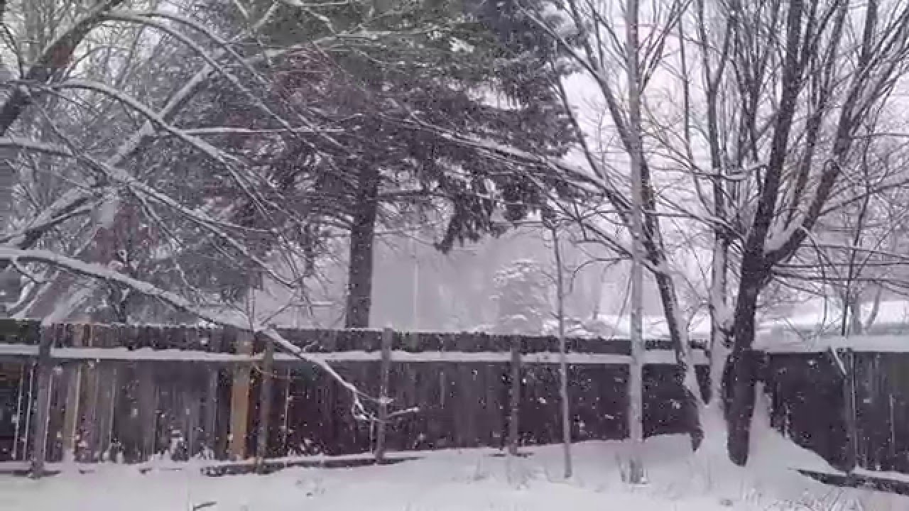 2/1/16 Snow During Winter Storm, Colorado Springs - YouTube