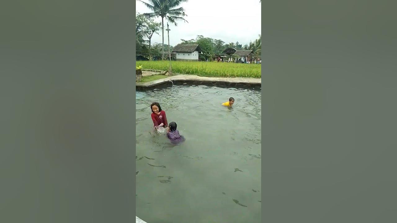 Bocil asyik berenang. - YouTube