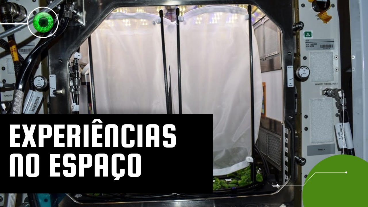 NASA vai investigar mutações de plantas no espaço - YouTube