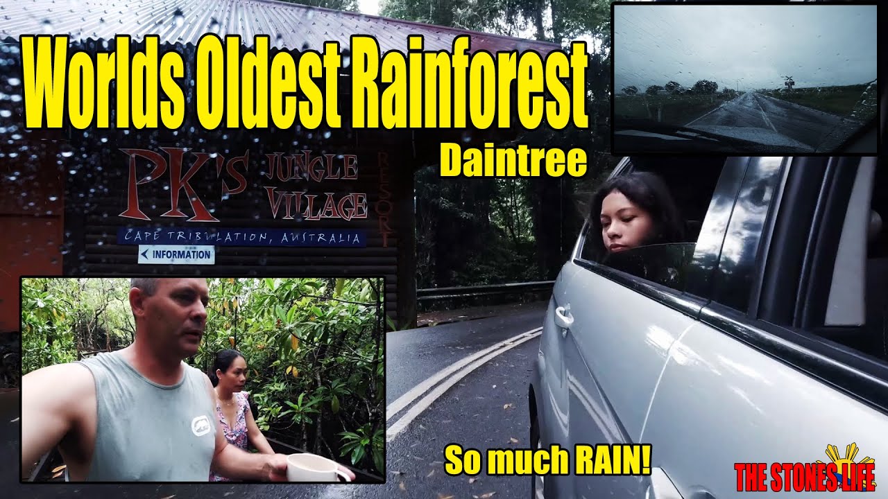 Daintree Rain-trip - The Worlds Oldest Rainforest - The Daintree - YouTube