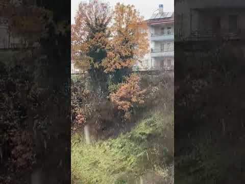 Yakma Yâ Rabbî Cehennem Nârına Yakma Yâ Rabbî Muhammed Aşkına Yakma Yâ Rabbî (Doç.Dr. Erdoğan KÖYCÜ)