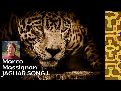 JAGUAR SONG. A spiritual journey in the depths of Mayan rainforest | Marco Massignan