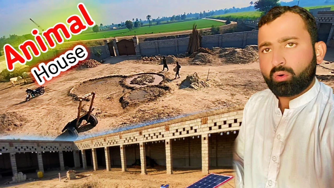 Big Animal Farming House in Dera Ismail khan 😲 | Village life in Punjab ...