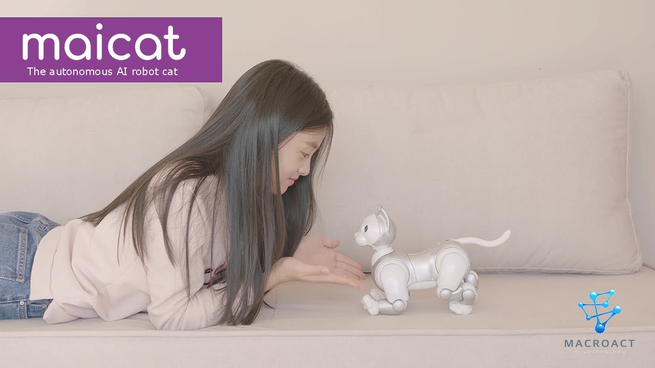 Robot Maicat's movement control - YouTube