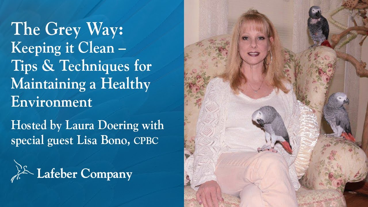 The Grey Way 5: Keeping it Clean–Tips & Techniques for Maintaining a ...