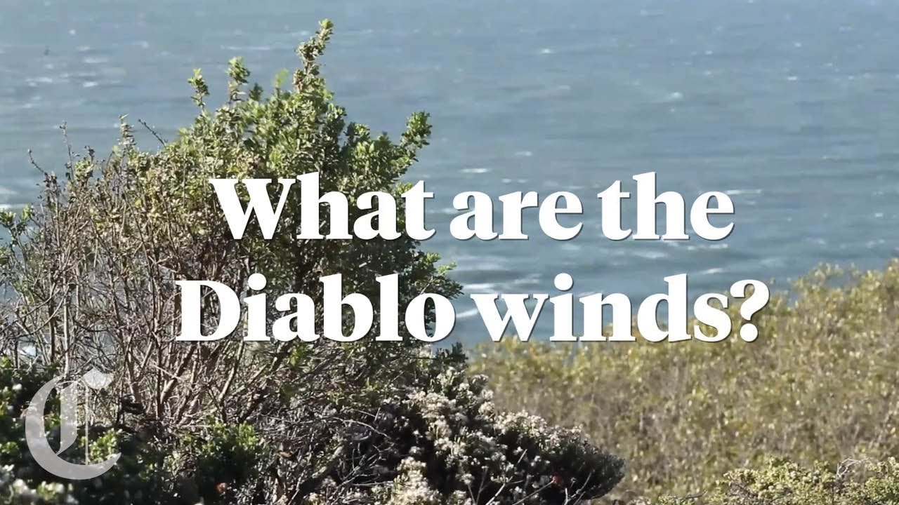 Diablo Winds: What You Need to Know About This Bay Area Weather ...